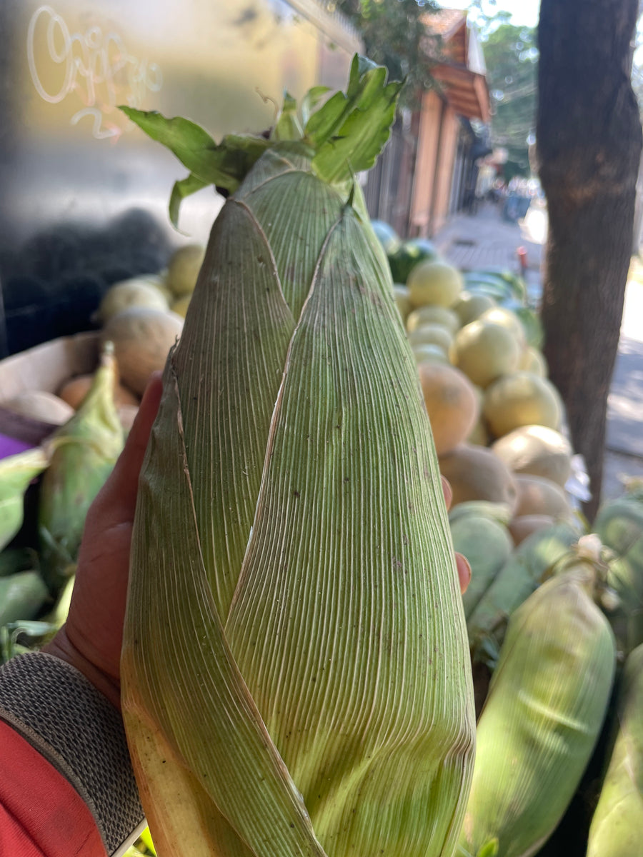 Choclo húmero – elcastillodelafruta