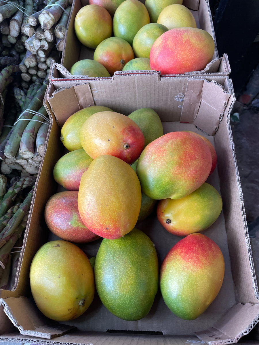 Mango kg – elcastillodelafruta