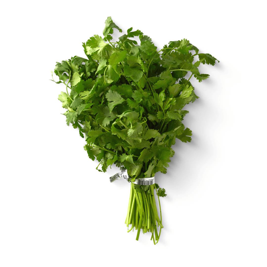 Cilantro / 1 paquete – elcastillodelafruta